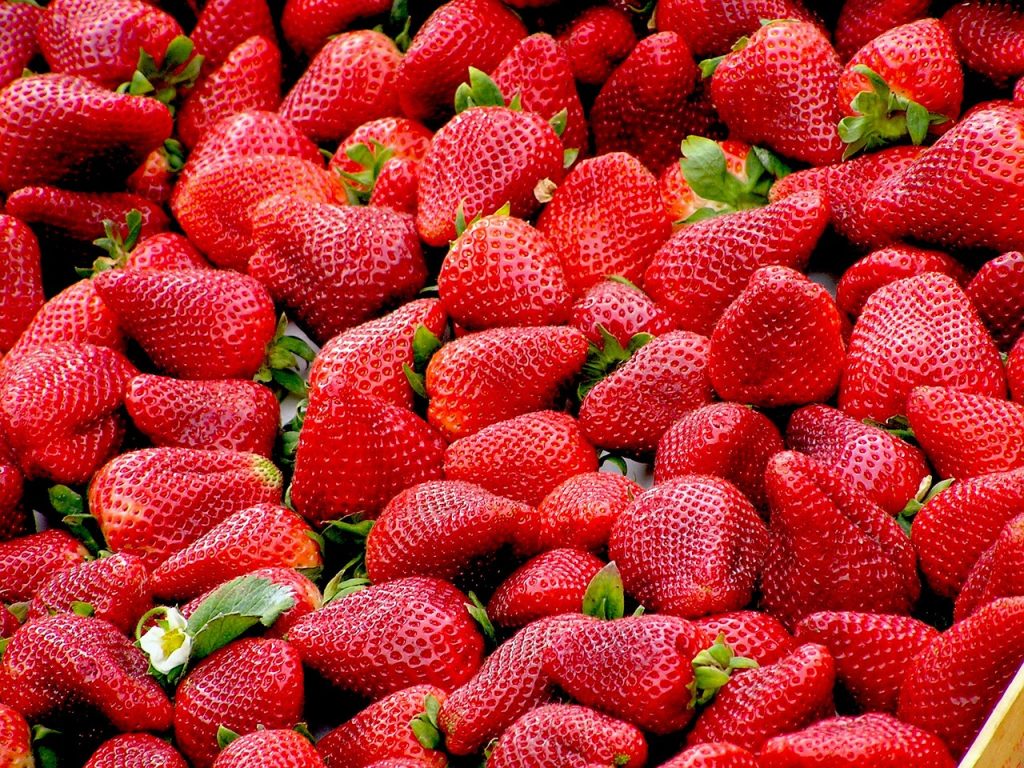 Come raccogliere i semi di fragola